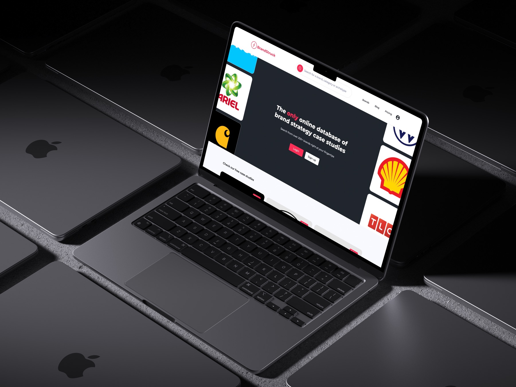 WordPress Web Designer & Website Developer London - Lewis Edward